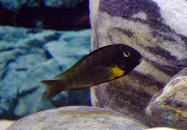 fatihkale 2014-04-14 14:08:34