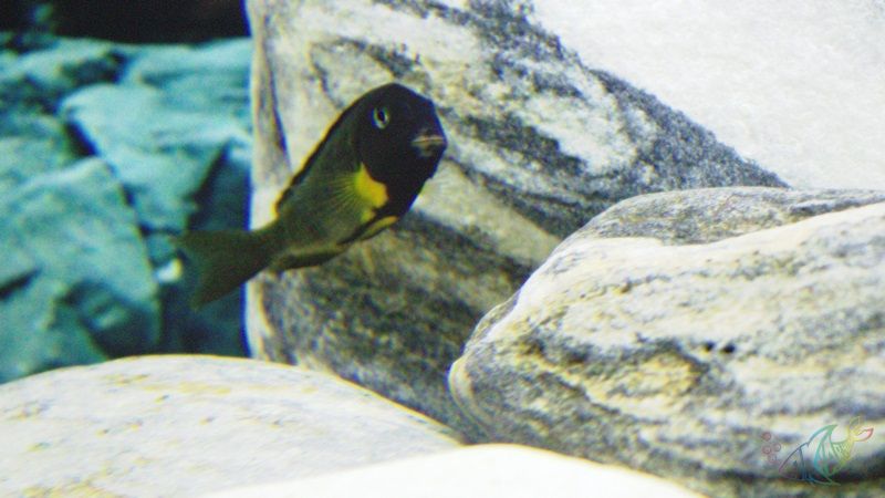 fatihkale 2014-04-14 14:08:34