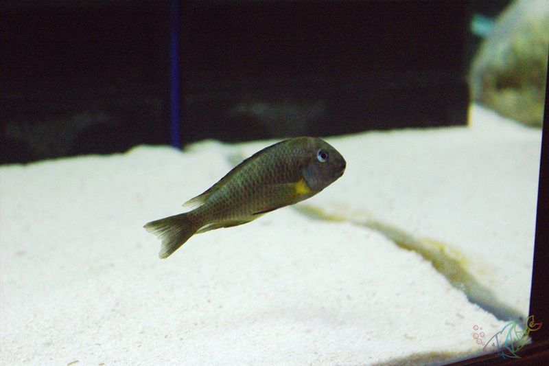 fatihkale 2014-04-14 14:08:34