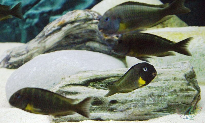 fatihkale 2014-04-14 14:08:34