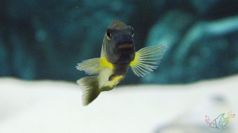 fatihkale 2014-04-14 14:08:34