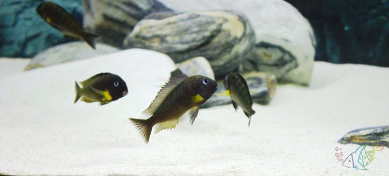 fatihkale 2014-04-14 14:08:34