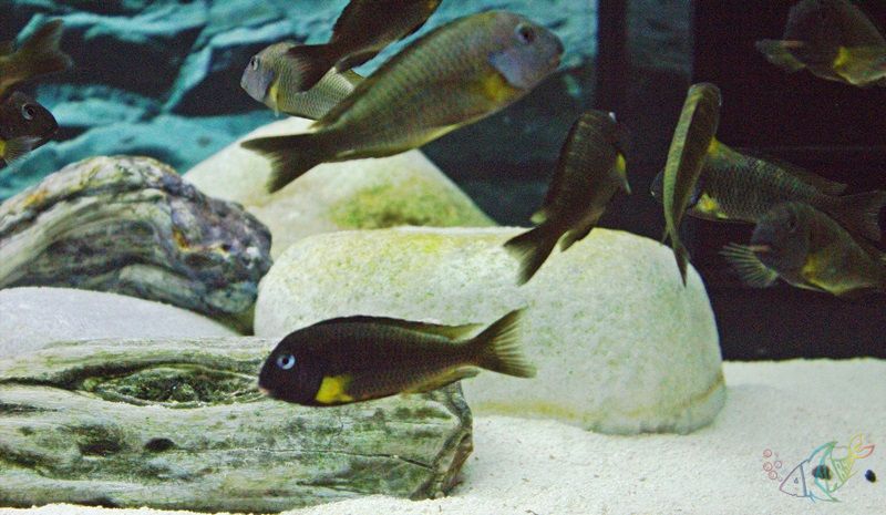 fatihkale 2014-04-14 14:08:34