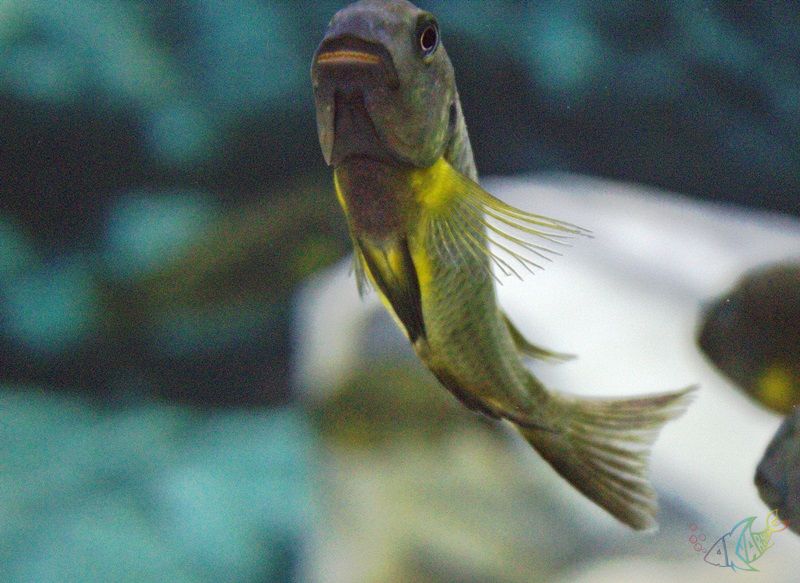 Üye imzalarını sadece giriş yapan üyelerimiz görebilir