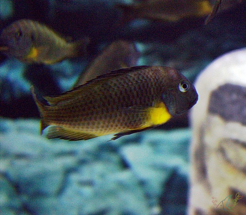 Üye imzalarını sadece giriş yapan üyelerimiz görebilir