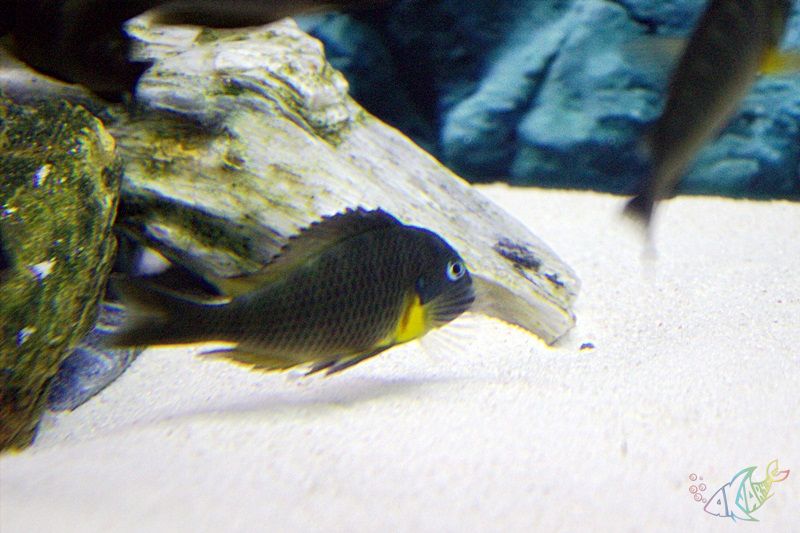 Üye imzalarını sadece giriş yapan üyelerimiz görebilir