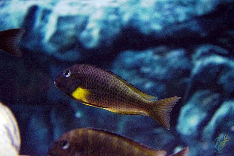 Üye imzalarını sadece giriş yapan üyelerimiz görebilir