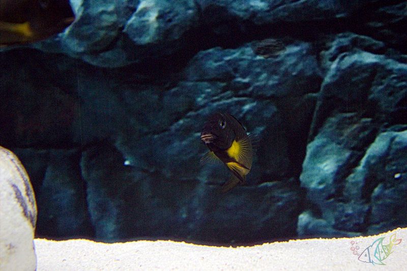 fatihkale 2014-04-14 14:08:34