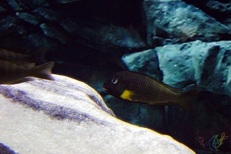 Üye imzalarını sadece giriş yapan üyelerimiz görebilir