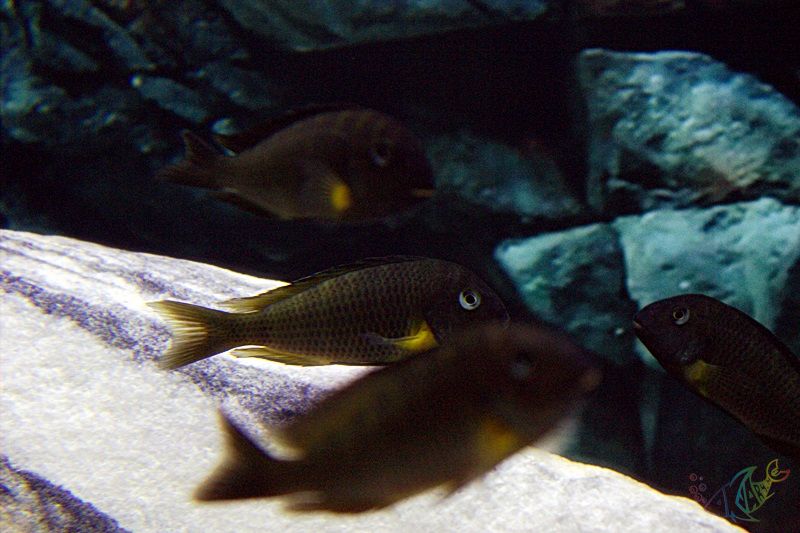 Üye imzalarını sadece giriş yapan üyelerimiz görebilir