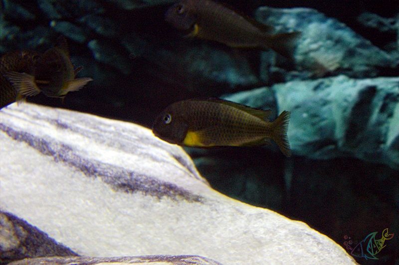 fatihkale 2014-04-14 14:08:34