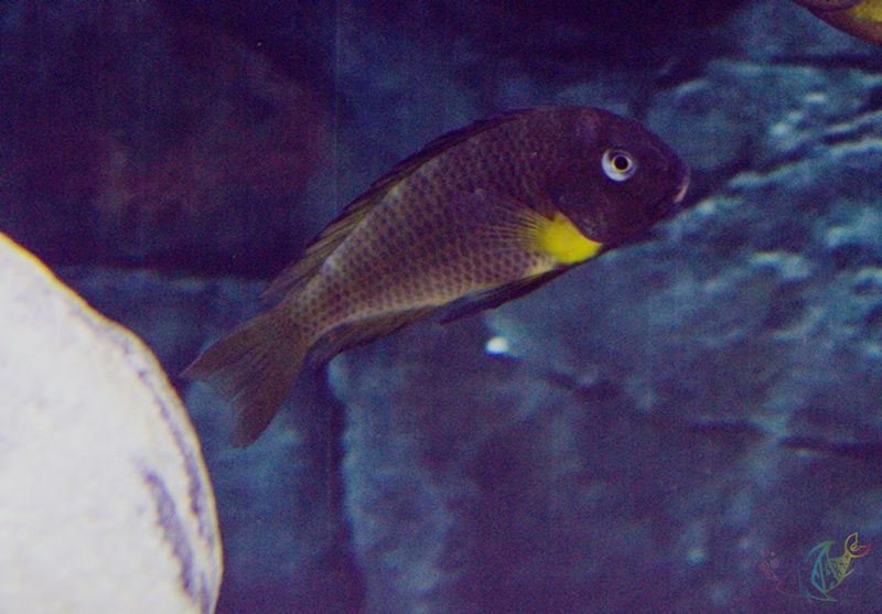 fatihkale 2014-04-14 14:08:34