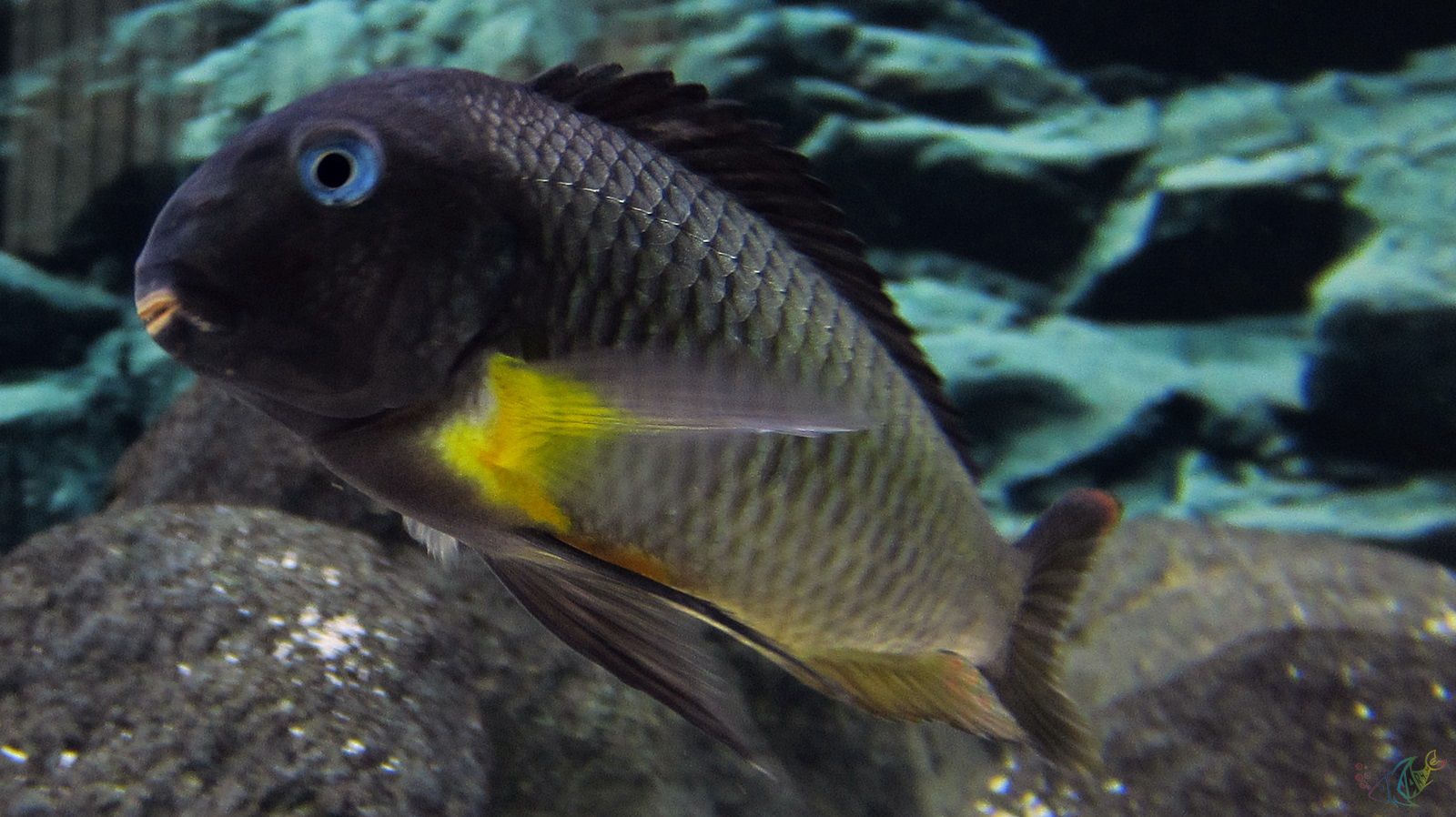 Üye imzalarını sadece giriş yapan üyelerimiz görebilir