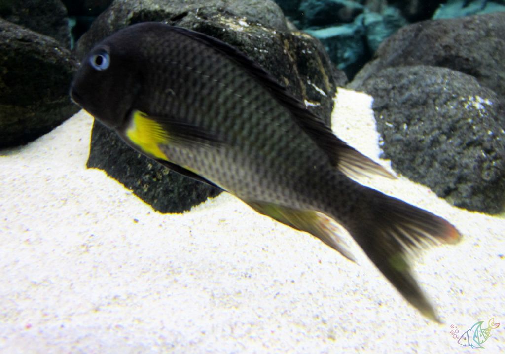 Fatih KALA 2014-08-13 18:05:37