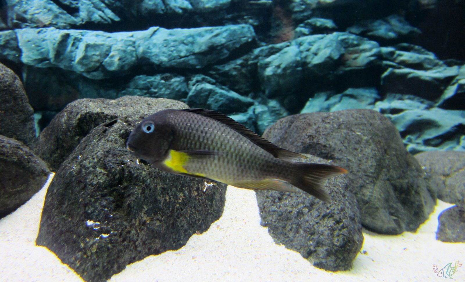 Üye imzalarını sadece giriş yapan üyelerimiz görebilir