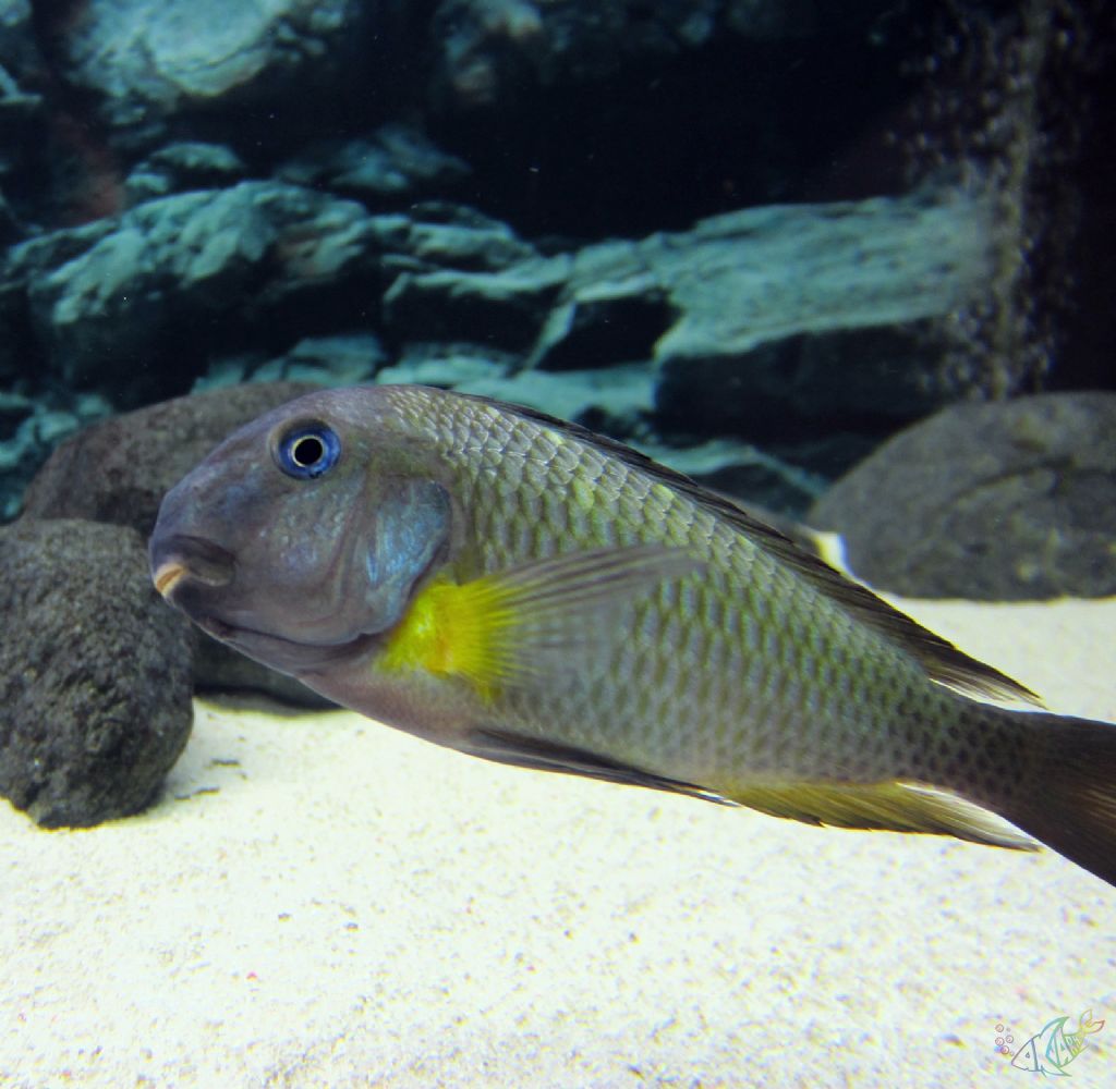Üye imzalarını sadece giriş yapan üyelerimiz görebilir