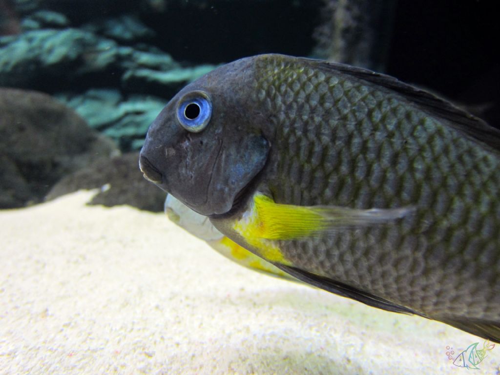 Üye imzalarını sadece giriş yapan üyelerimiz görebilir