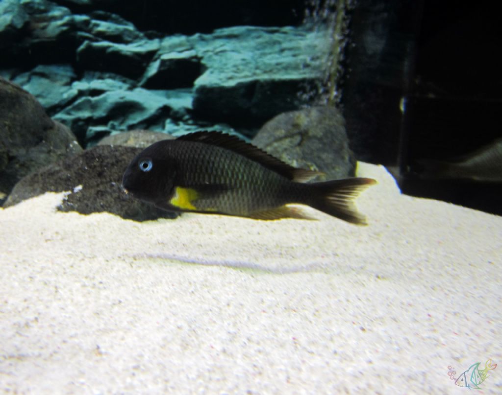 Üye imzalarını sadece giriş yapan üyelerimiz görebilir