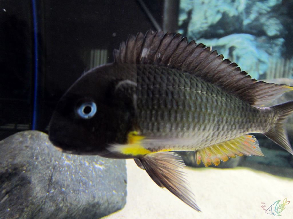 Fatih KALA 2014-08-13 18:05:37