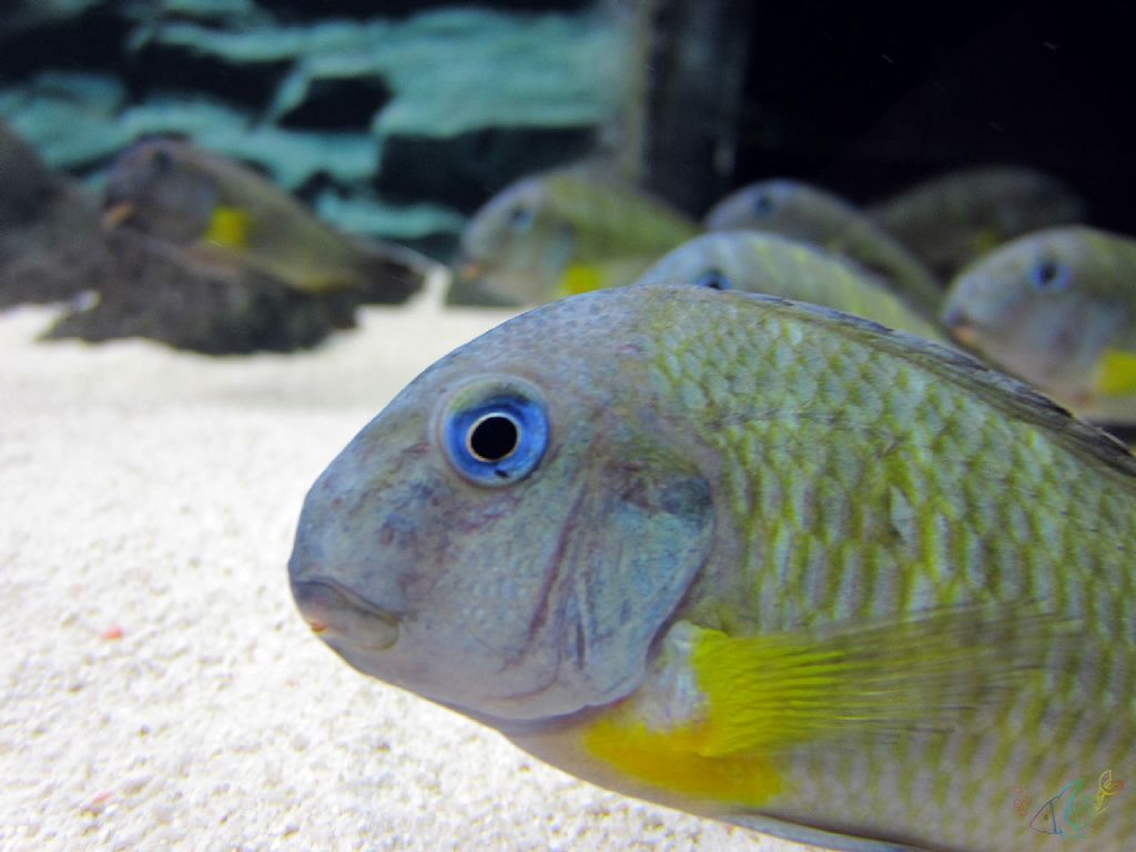 Üye imzalarını sadece giriş yapan üyelerimiz görebilir